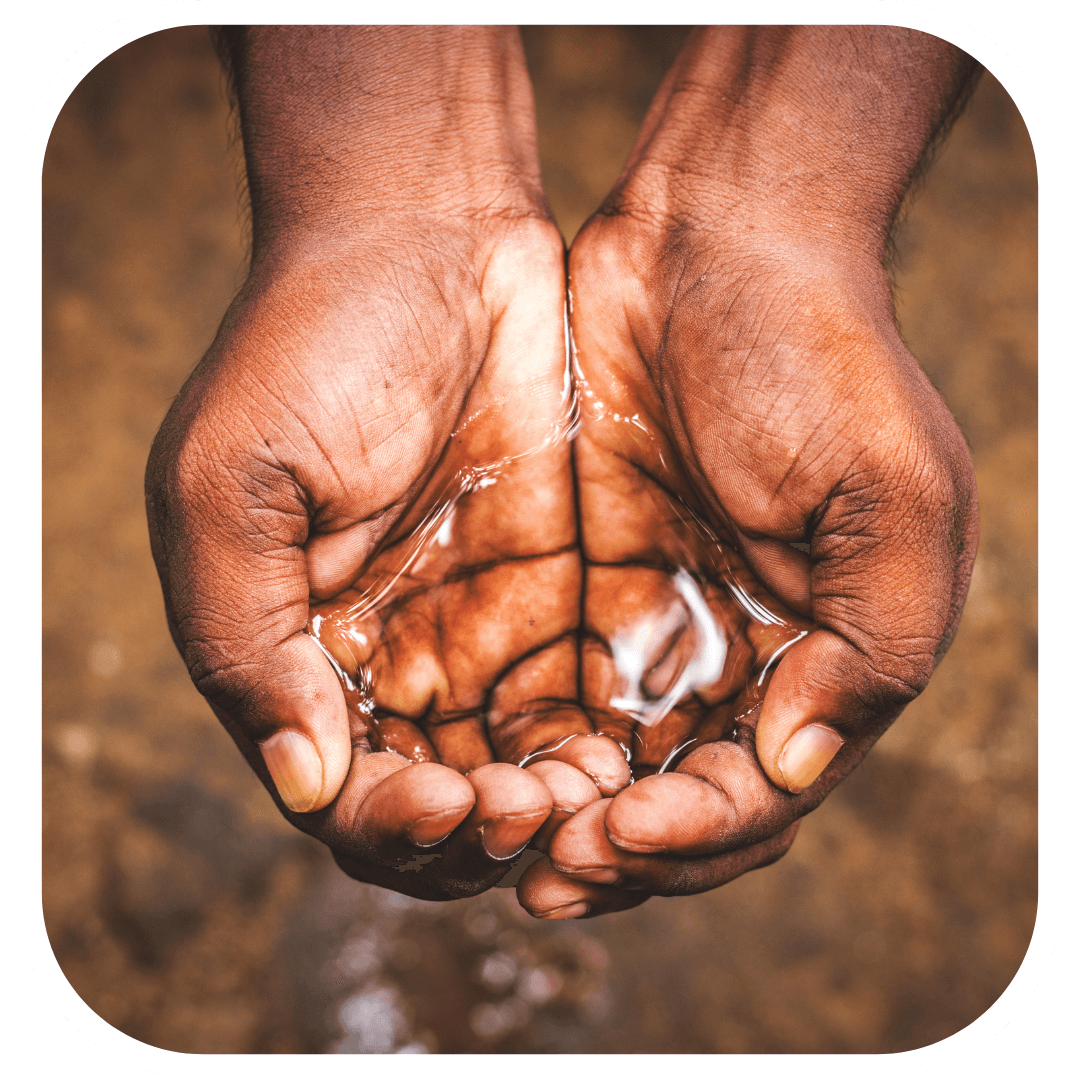 Awareness Programs - Poornseva Sansthan